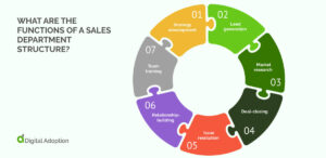 Sales Department Structure: Types, Roles & Functions