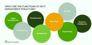 IT Department Structure: Types, Roles & Functions