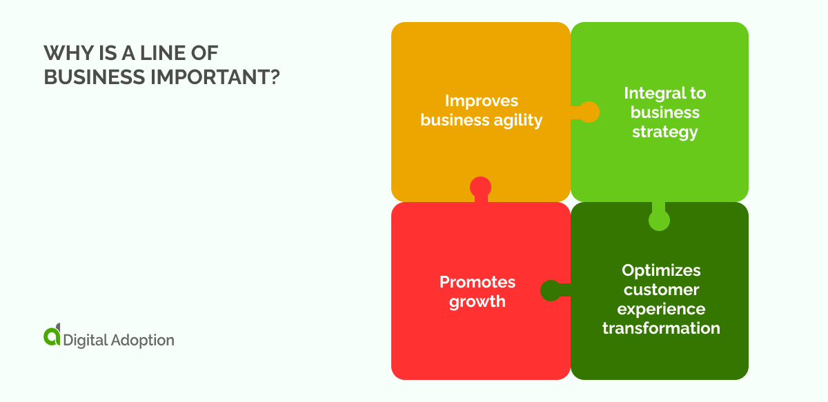 What Is A Line of Business (LOB) + Examples?
